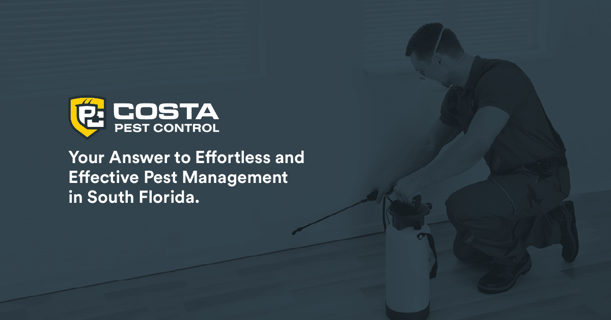 Pest Control & Exterminator Service In Florida | Costa Pest